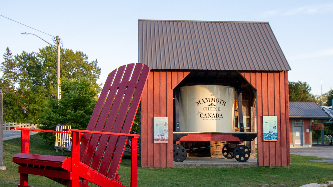 Mammoth Cheddar Cheese