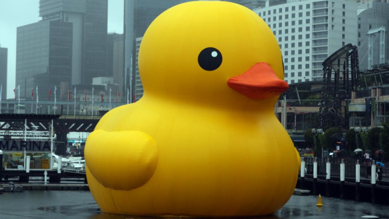 In defence of the $120,000 giant inflatable rubber duck | TVO Today