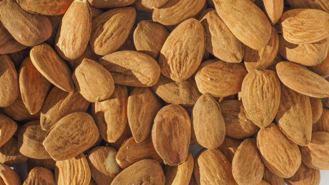 Food Links: One protein-packed nut gets cheaper as food prices soar ...