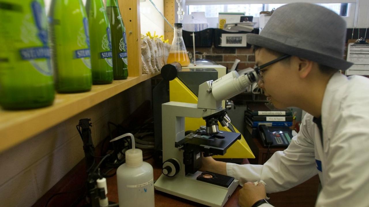 Is food and beverage processing Ontario’s new ‘it’ job? | TVO Today