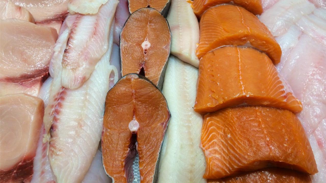Why fish fraud is hard to reel in | TVO Today