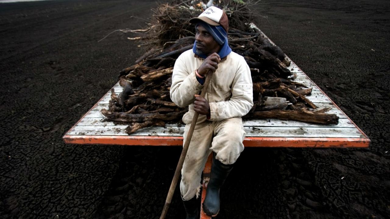 Canada's migrant agricultural workers deserve full and equal rights ...