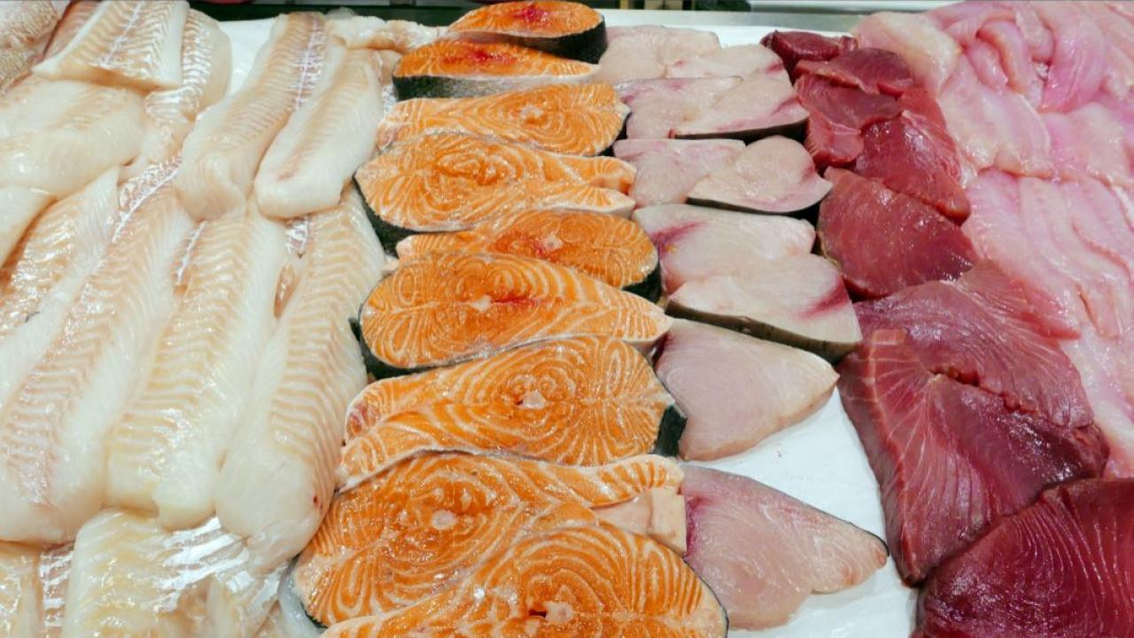 How seafood sleuths are fighting fish fraud | TVO Today