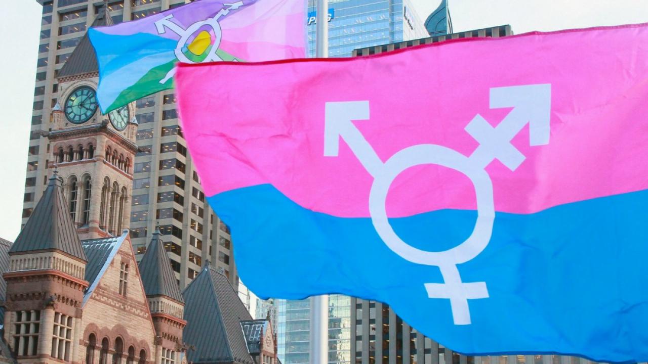Words matter: Respect and the language of gender identity | TVO Today
