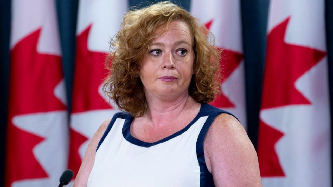 An MPP has apologized for using the term ‘fake news.’ That’s progress ...