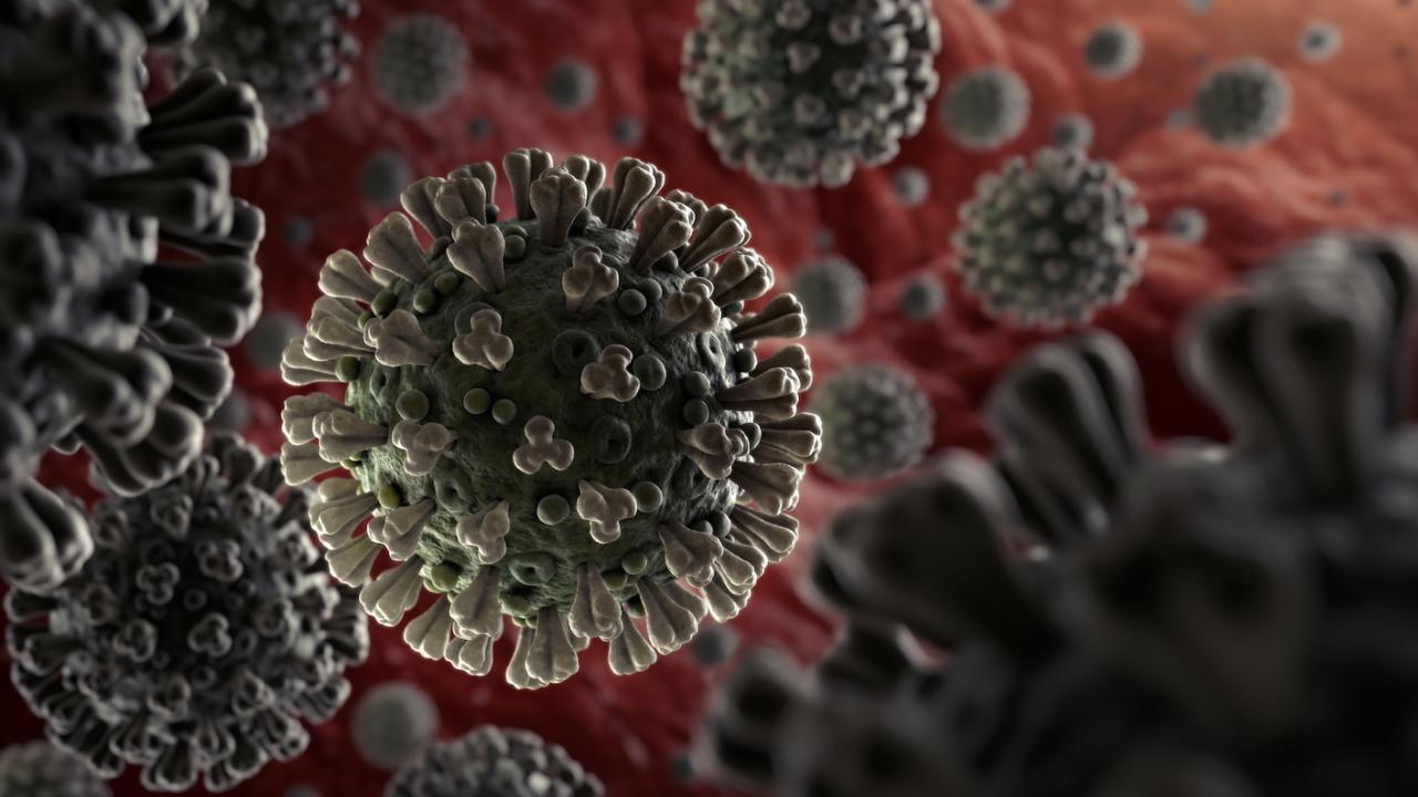 ‘It’s shifting responsibility’: Epidemiologist Ashleigh Tuite on ...