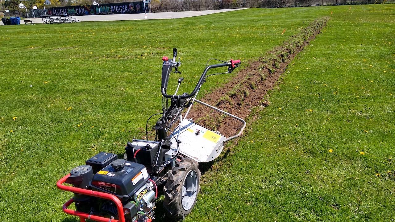 Urban farmers want more places to grow and sell food in the GTA | TVO Today