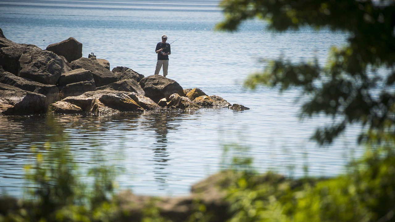 ‘Pervasive environmental issue’: Microplastics levels high in Toronto ...