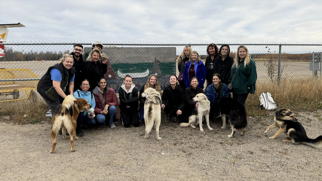 Pilot project brings veterinary ‘magic’ to northern First Nations | TVO ...