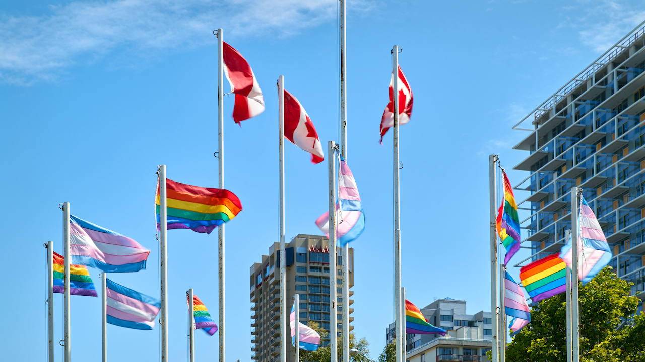 How this Kingston non-profit became a go-to resource for trans ...