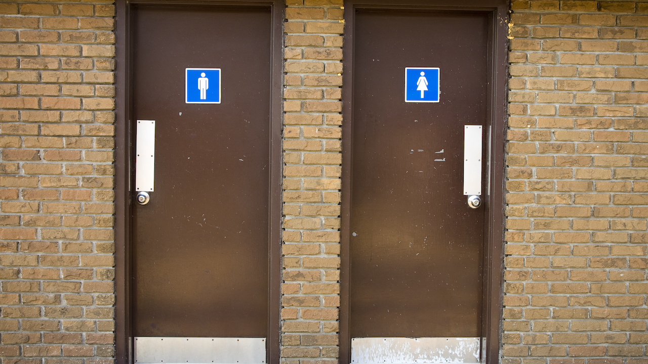 Toilets aren’t Toronto’s biggest problem — but they’re a revealing one ...