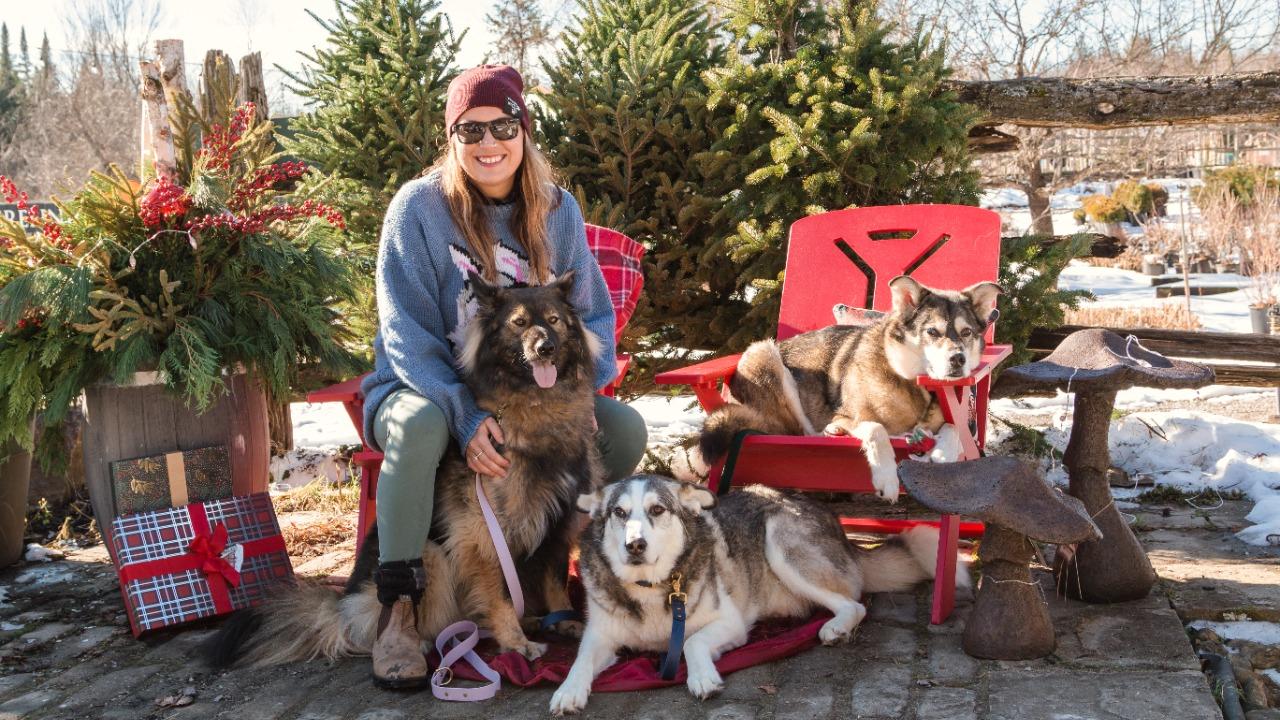 How this rescue org gives northern dogs a new leash on life | TVO Today