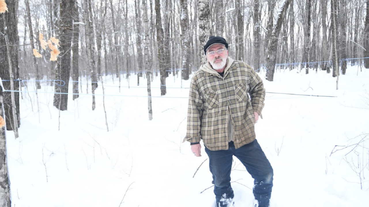 Why climate change may put maple-syrup producers in a sticky situation ...