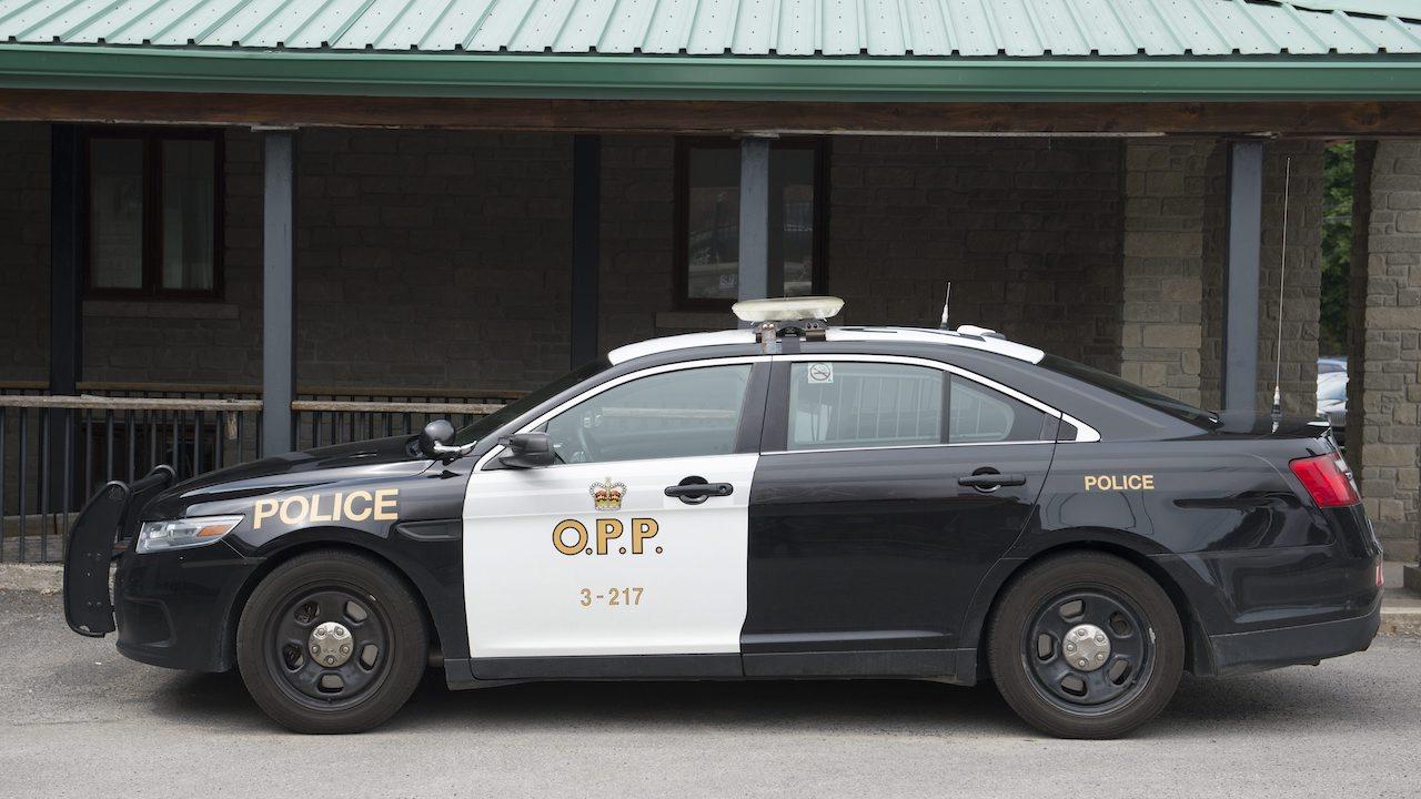 Why these migrant workers are taking on the OPP | TVO Today