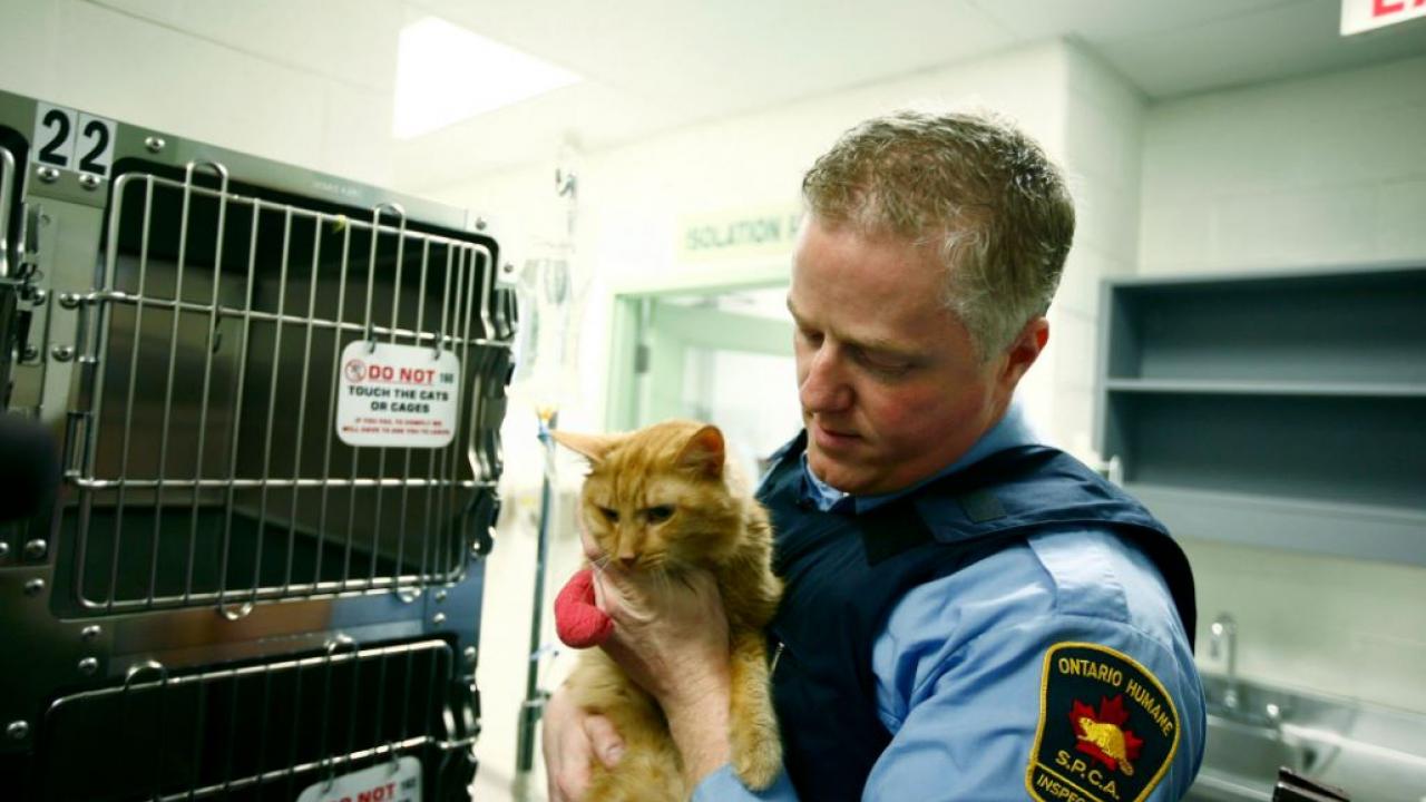 ‘It’s headed in the right direction’: An animal-rights lawyer on the ...