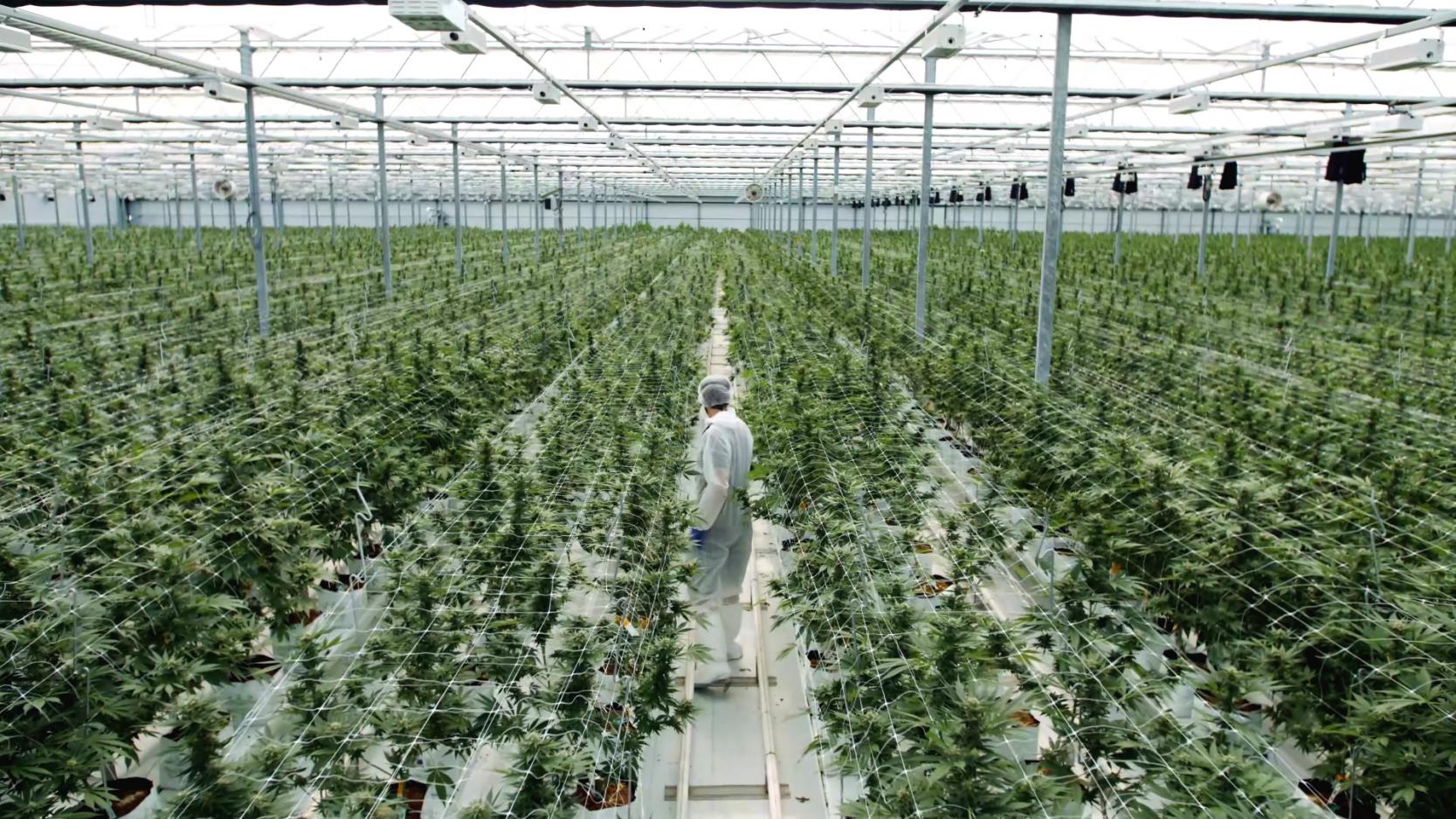 Crossroads: Beyond Boom & Bust | TVO Today