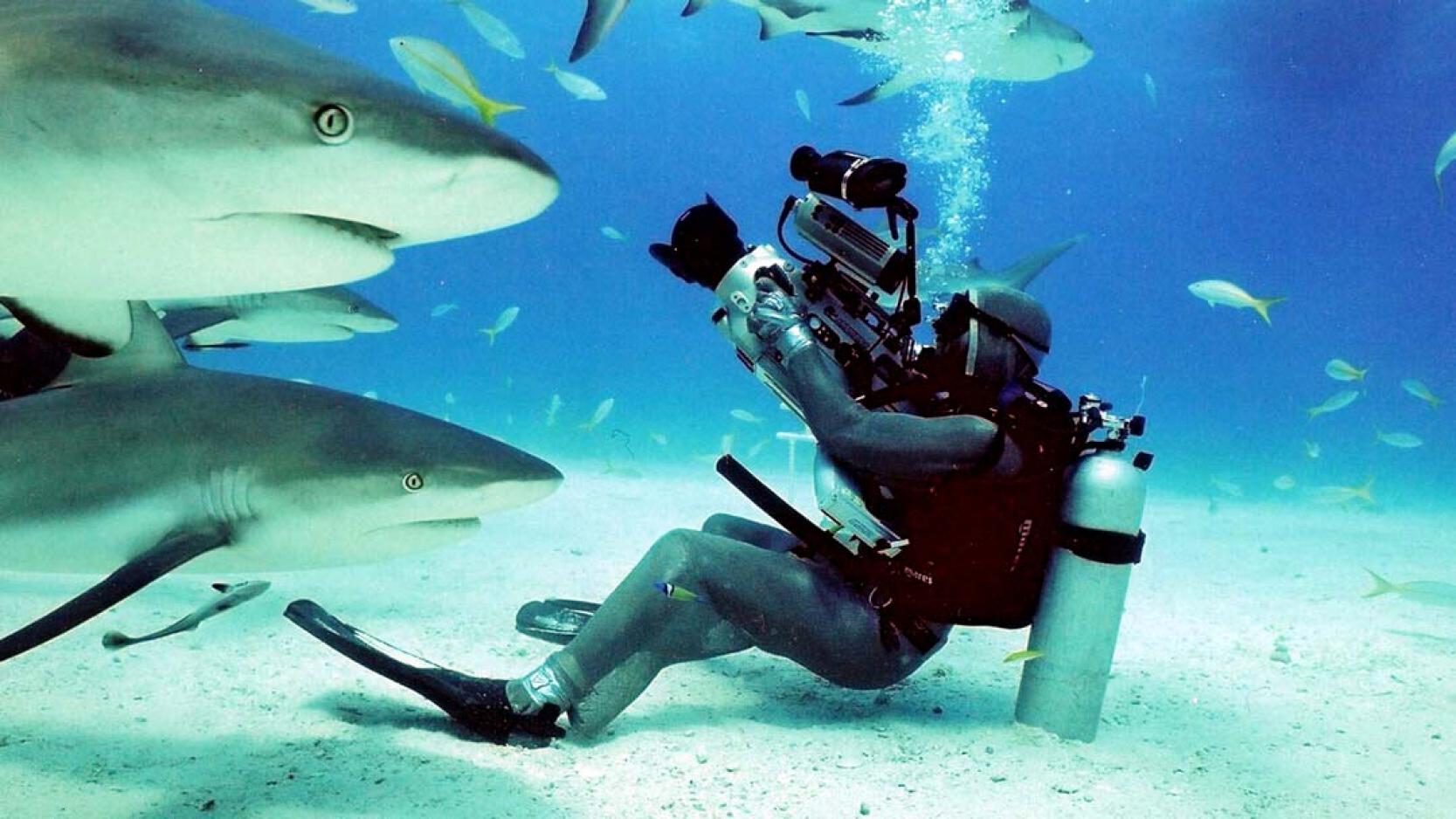 The Blue Realm | TVO Today